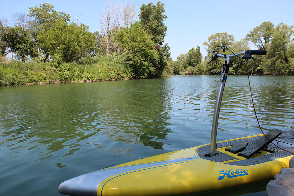 Canoë Kayak, Paddle, Paddle Stepper et Pédalo - Kayak Paddle Fréjus